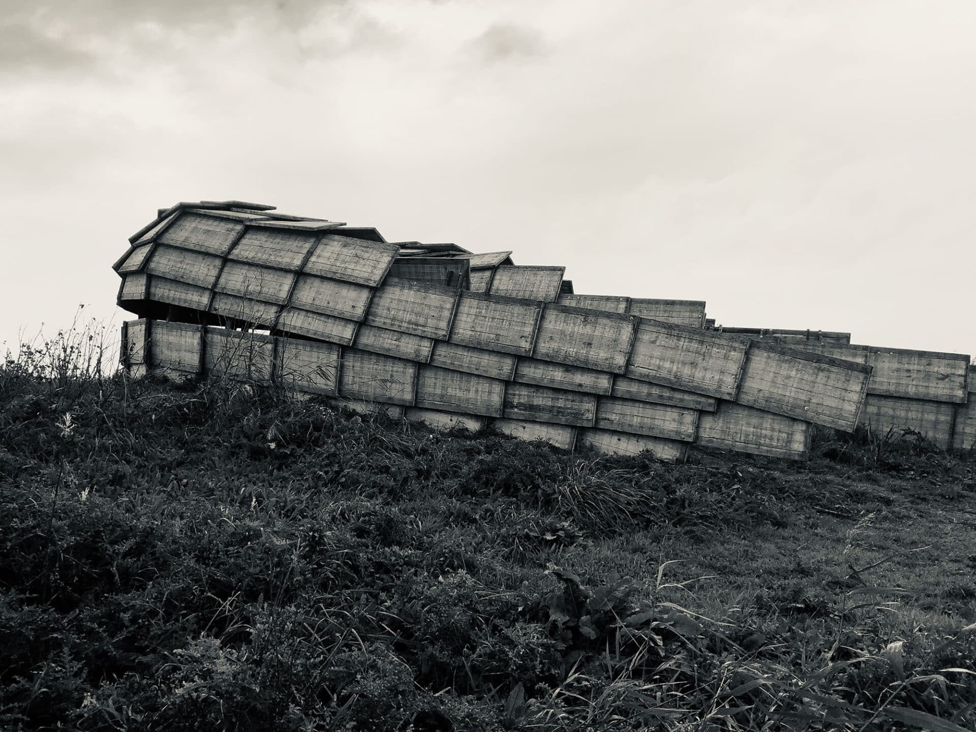 NP De Biesbosch en Het Haringvliet - Salt
