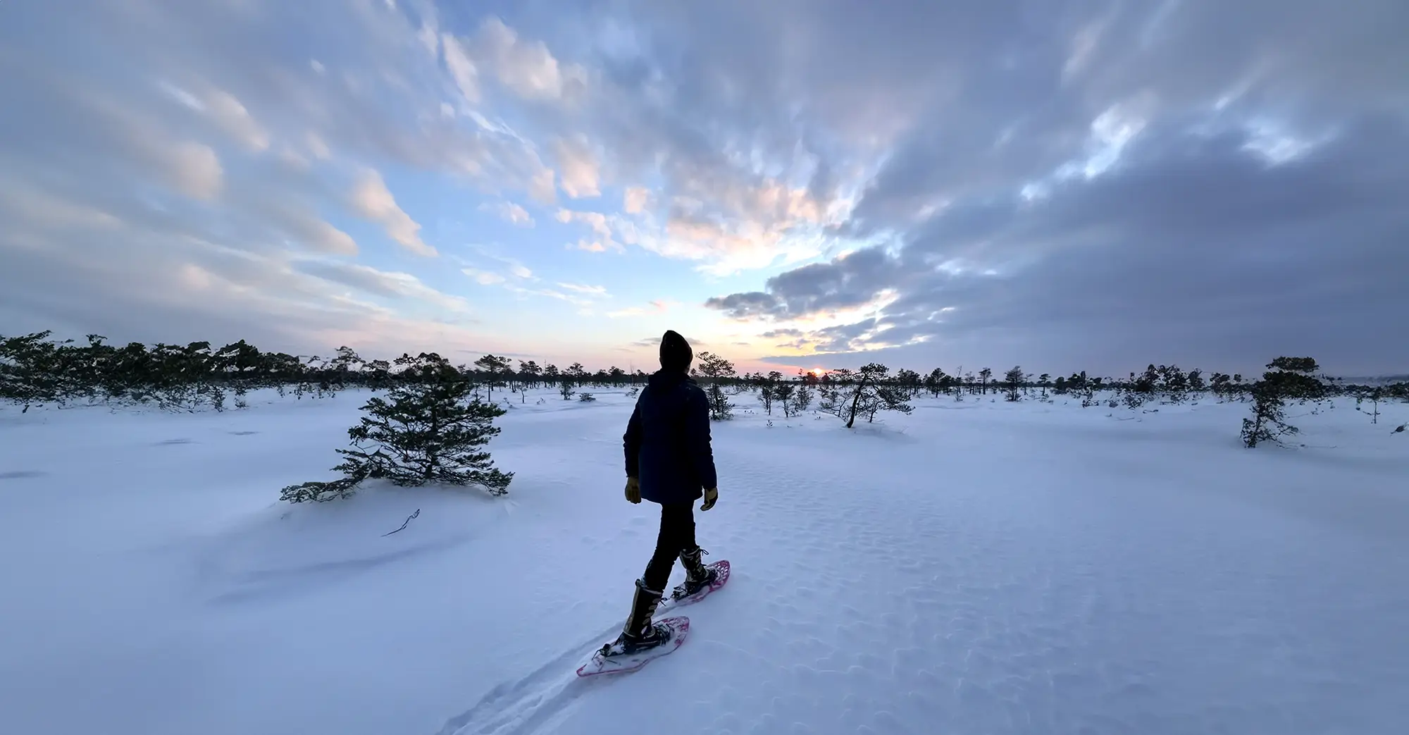 Let's Go Letland - Salt